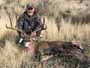 MonsterMuleys.com - Mule Deer, Elk and Western Big Game Hunting
