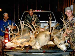 MonsterMuleys.com - Mule Deer, Elk and Western Big Game Hunting